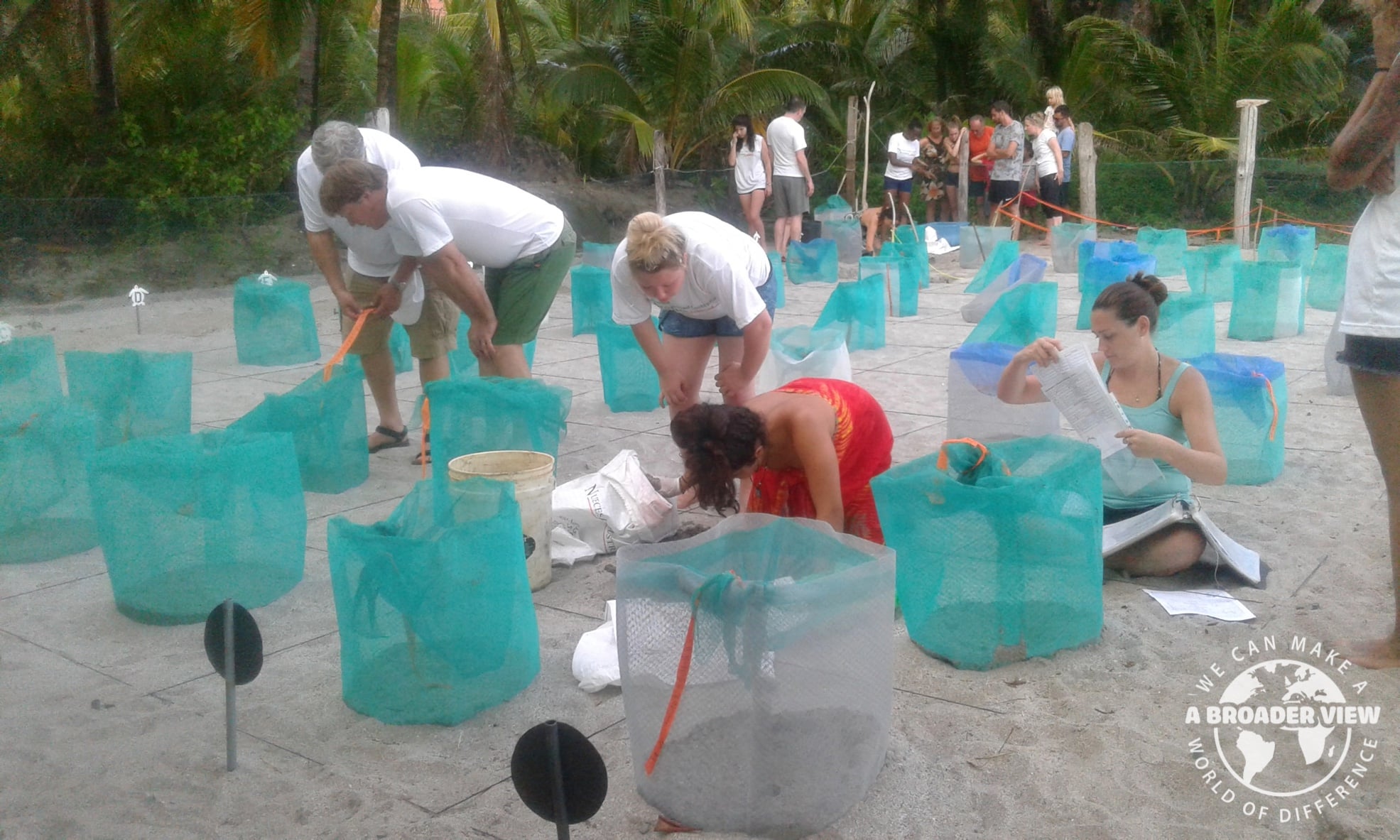 Taking Action Against Climate Change: Volunteering in Environmental ...